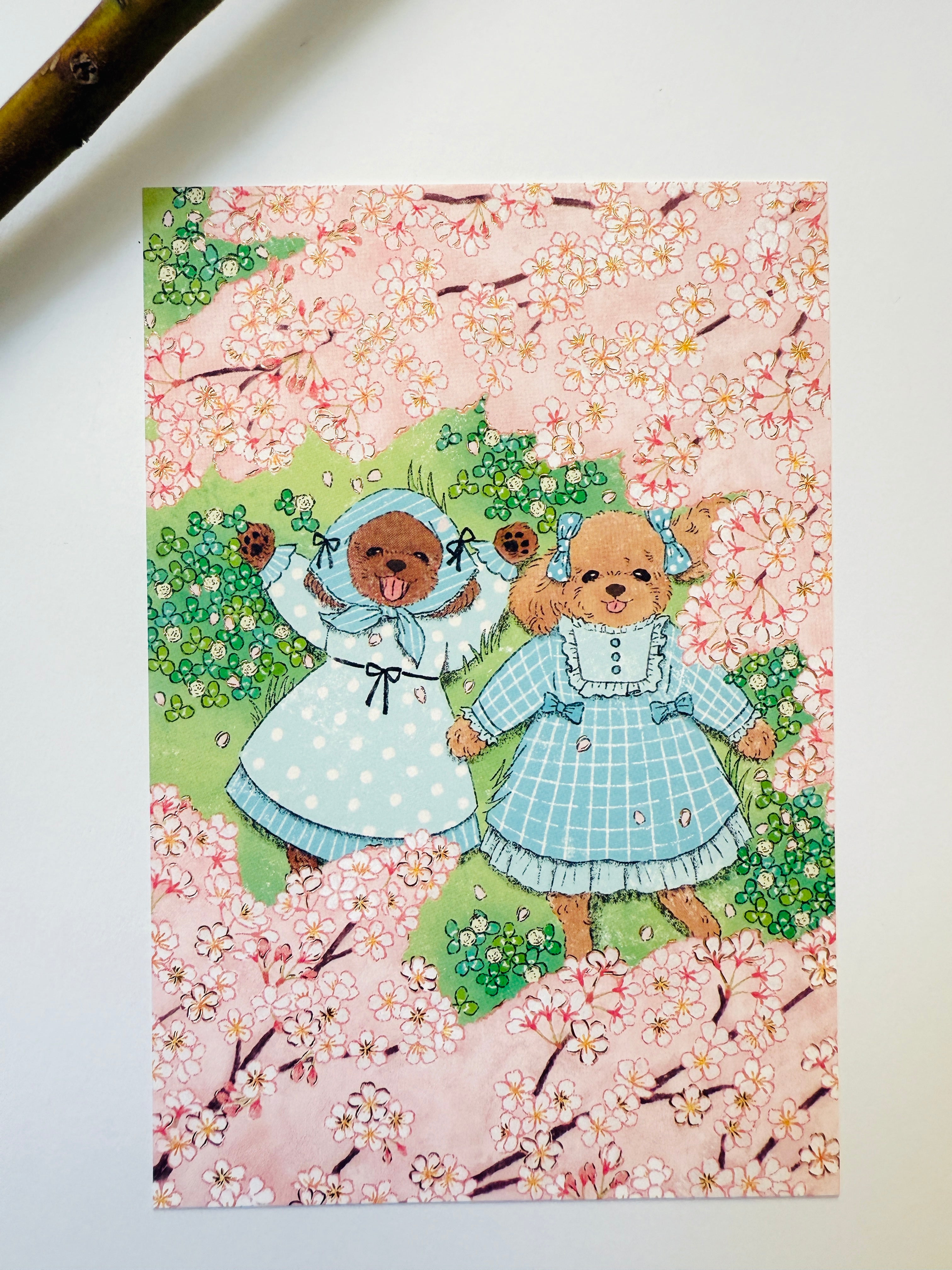 [Akane Kotoko] Toy Poodle & Cherry Blossoms postcard – papertreats